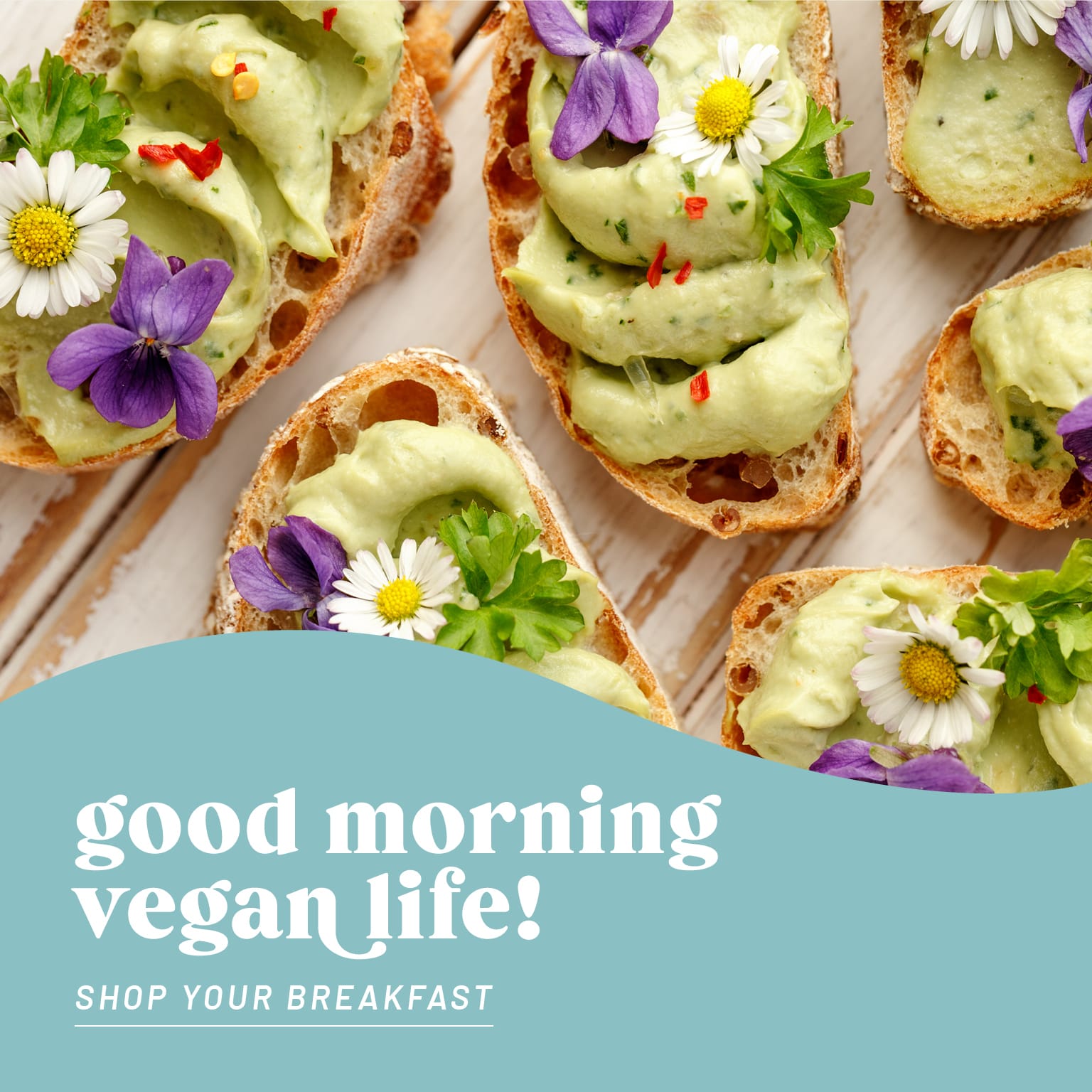 Vegan Online Shop | Enjoy vegan